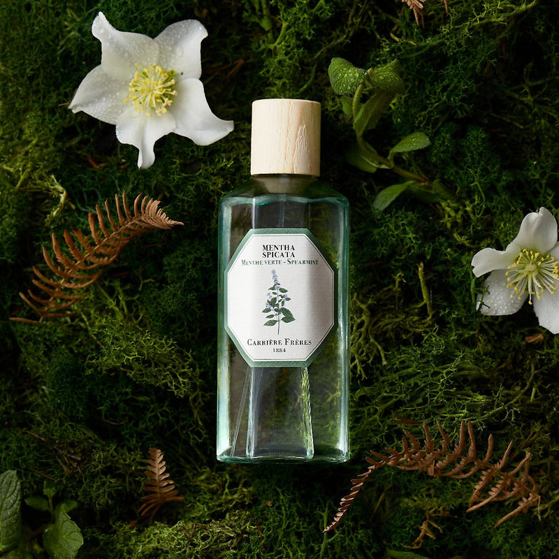 Carriere Freres Room Spray – Erica Wilson